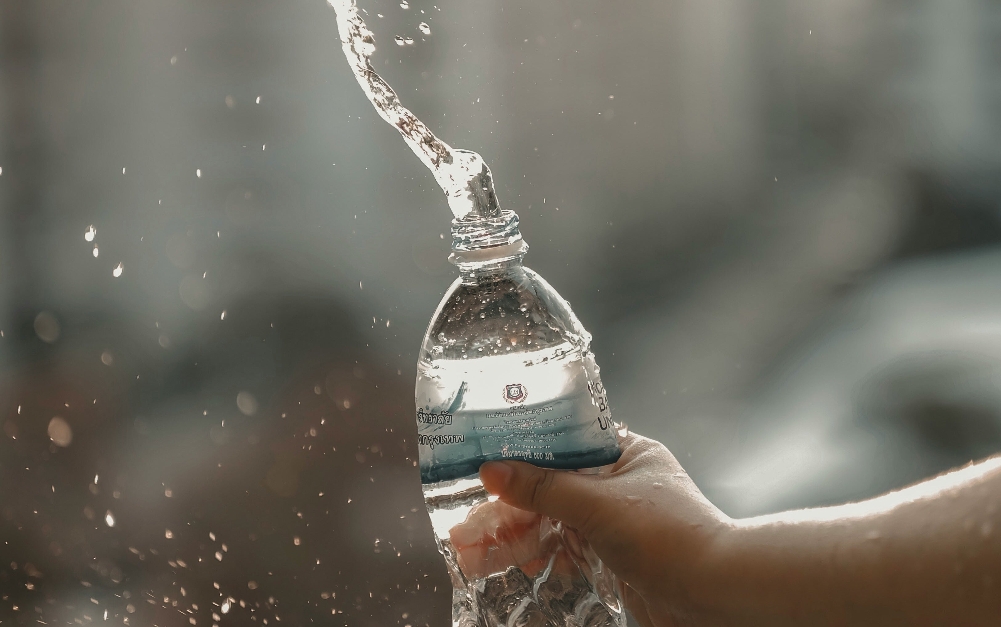 8 Ideas to reduce plastic in a company – Cool Bottles